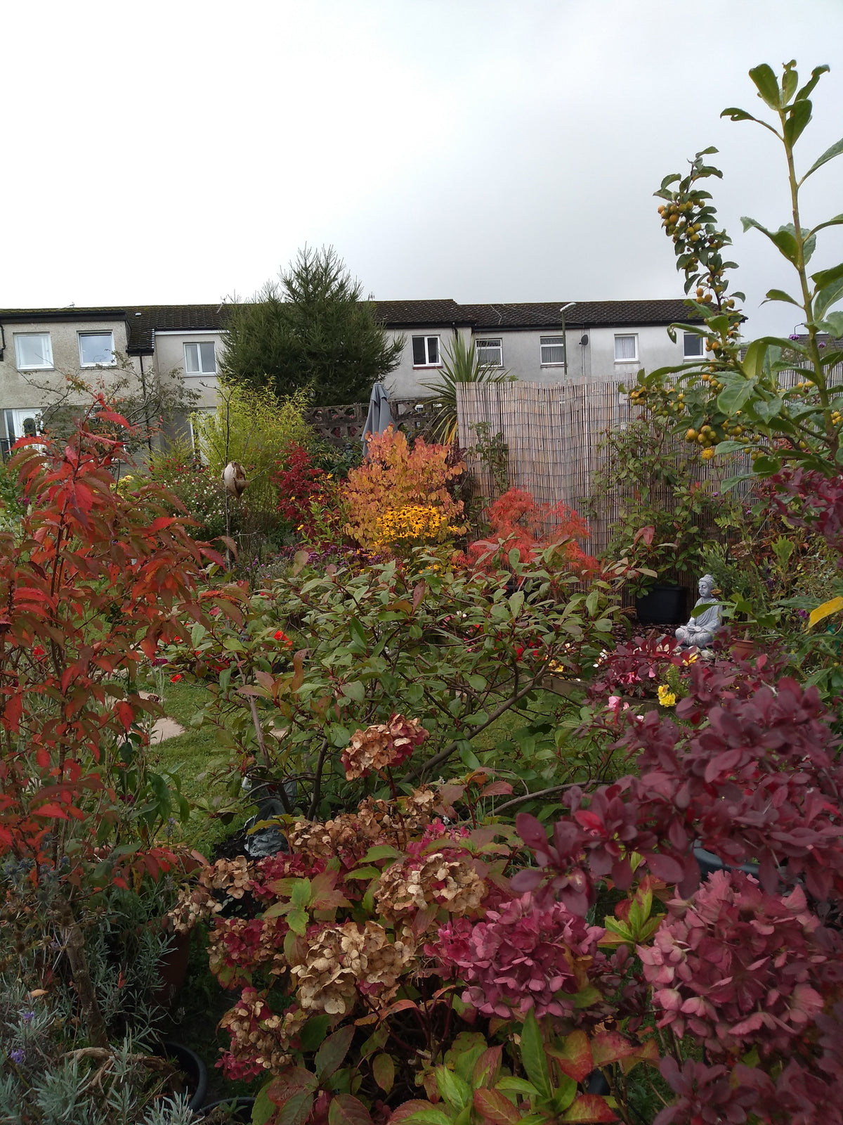 Gardening Blog - Amazing Communal Creation — Plants2Gardens