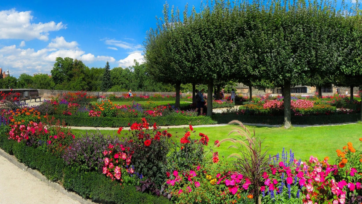 Anything But Boring Borders — Plants2Gardens