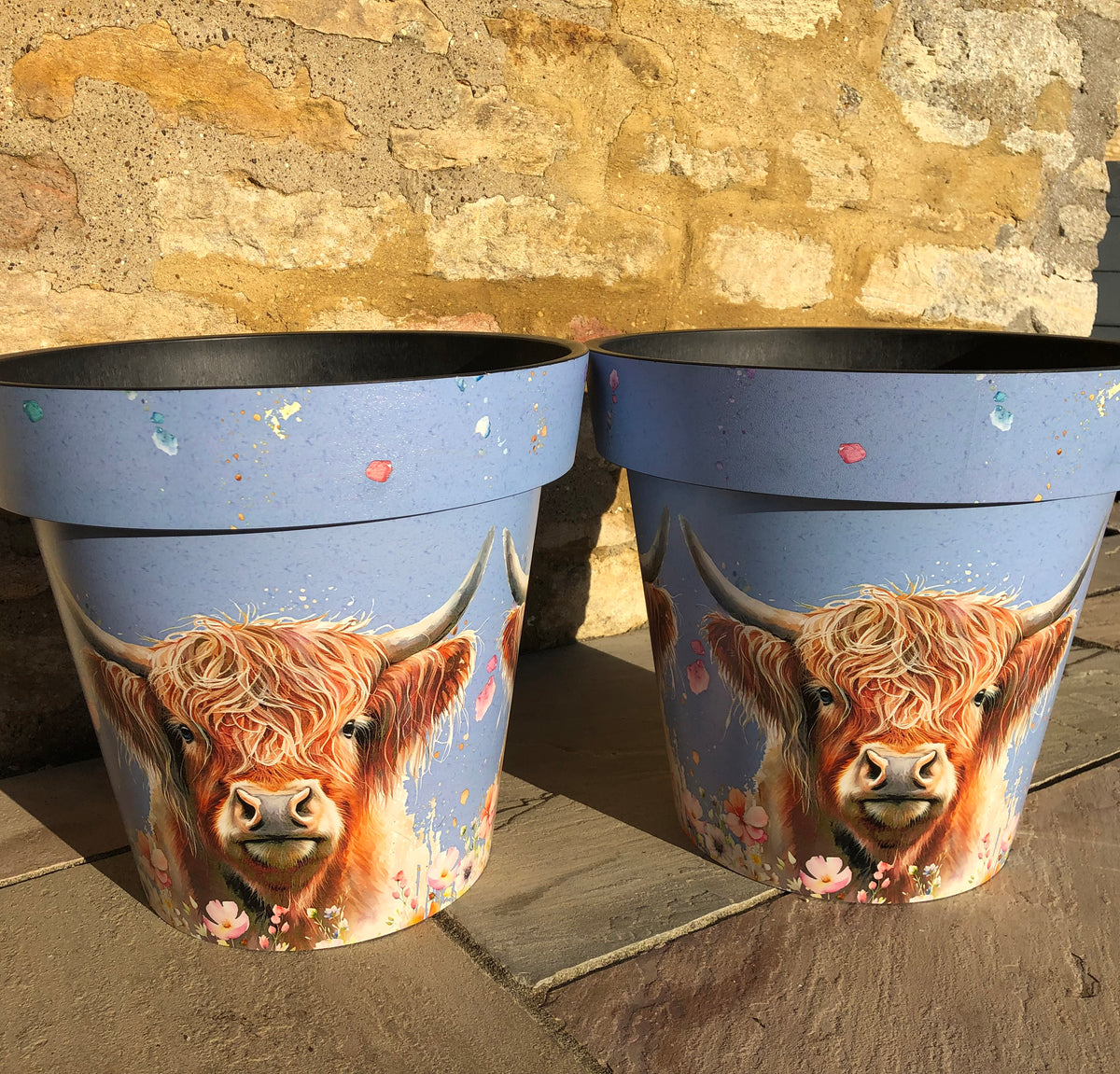 Buy Highland Cow Planters Online For Only £60 — Plants2Gardens