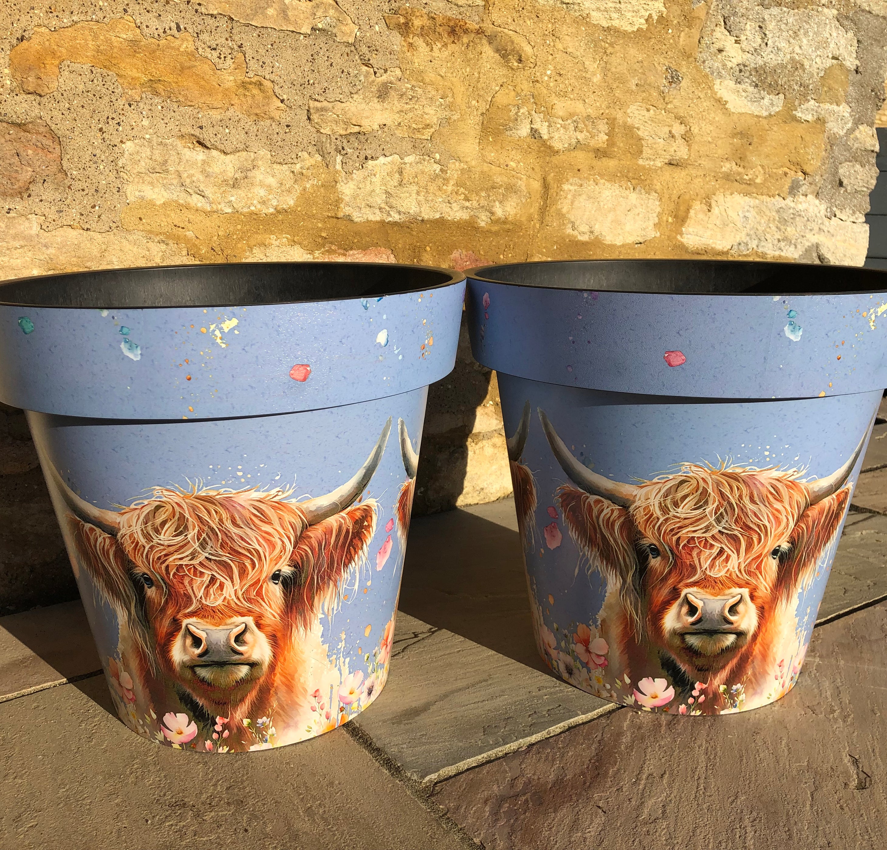 Buy Highland Cow Planters Online For Only £60 — Plants2Gardens
