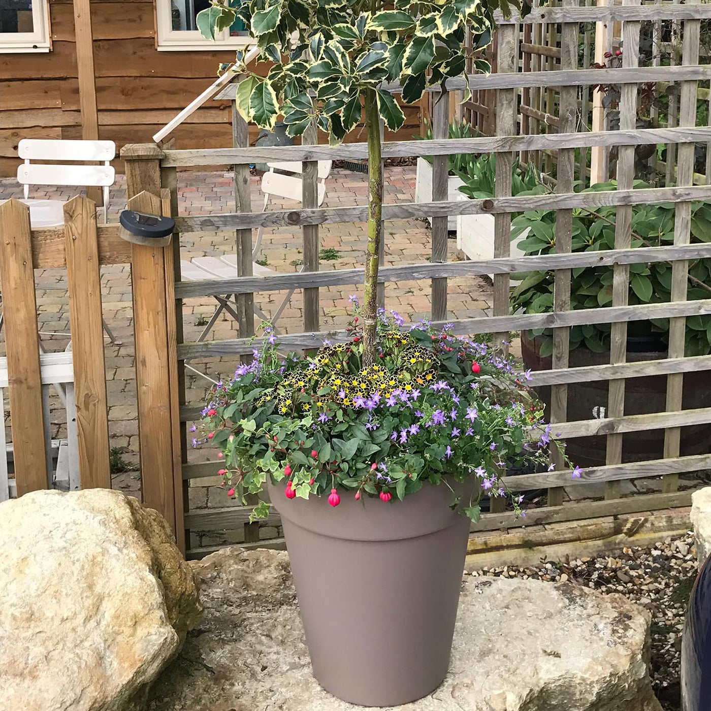 Extra Tall Capri Planter Choice of Colour £20.00 by Plants2Gardens