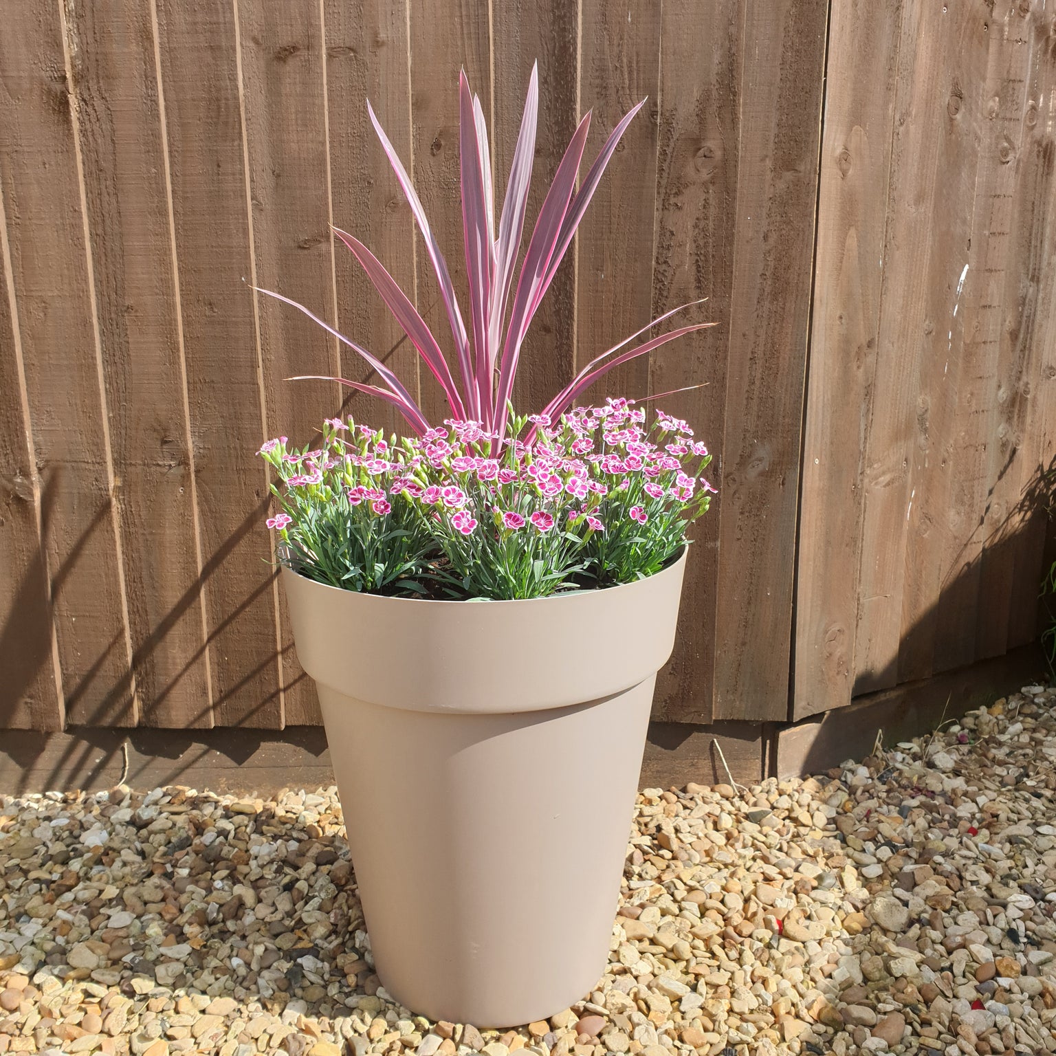 Mail Order Plants Online UK | Order Today! | Plants2Gardens