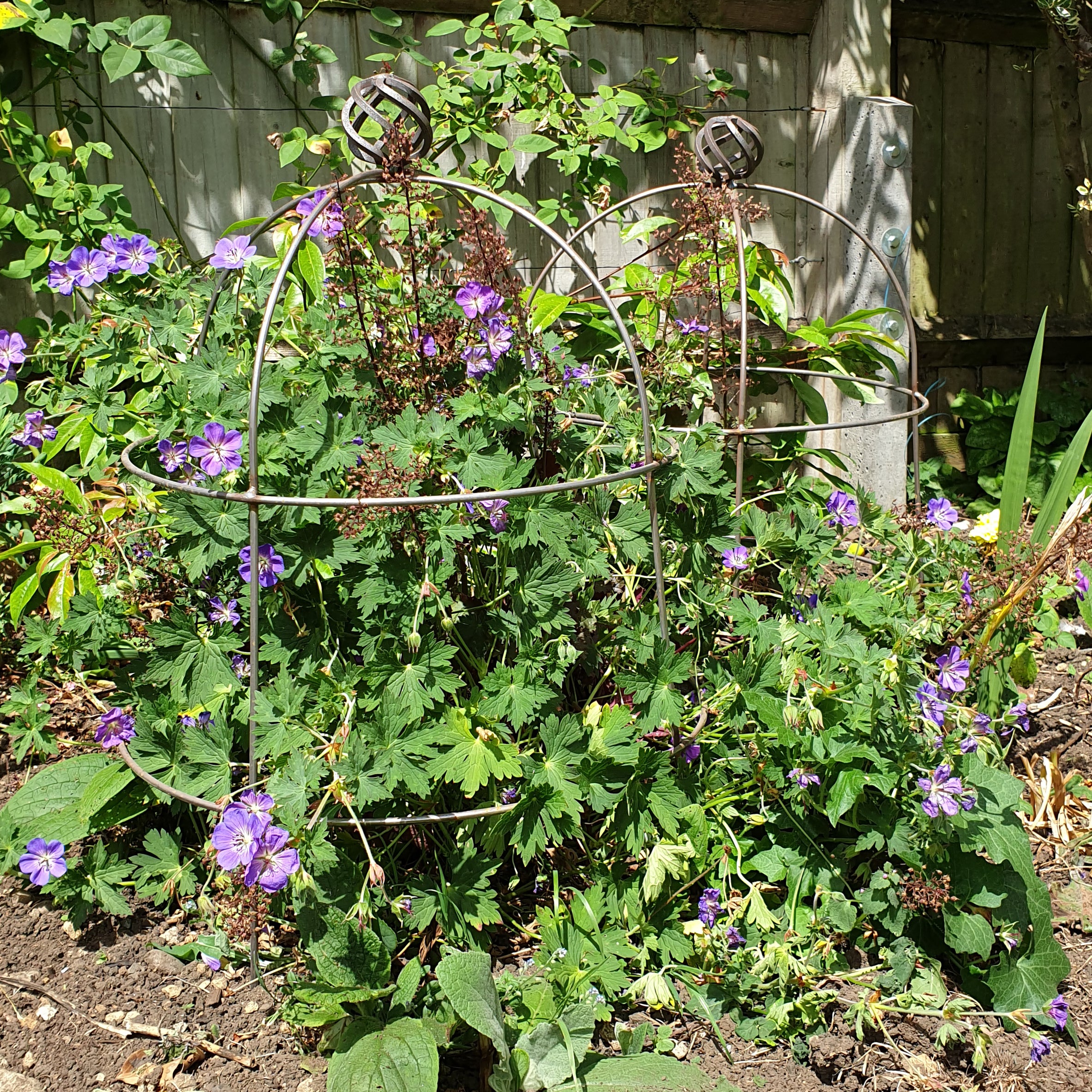 Buy A Pair Of Victorian Bell Plant Supports Online For Only £33.50 ...