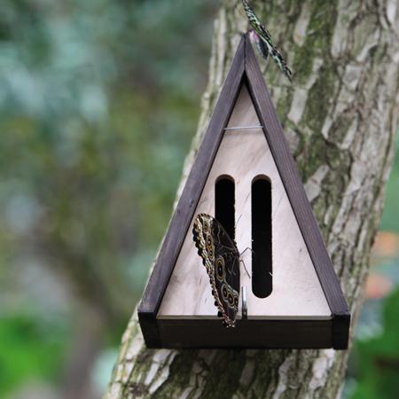 Buy A Butterfly House Online from Only £7.50 — Plants2Gardens